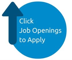 Options For Learning